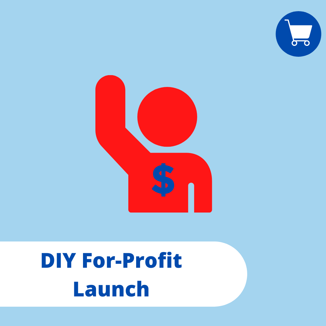 Do It Yourself For Profit Launch Guide – VISIONful Solutions
